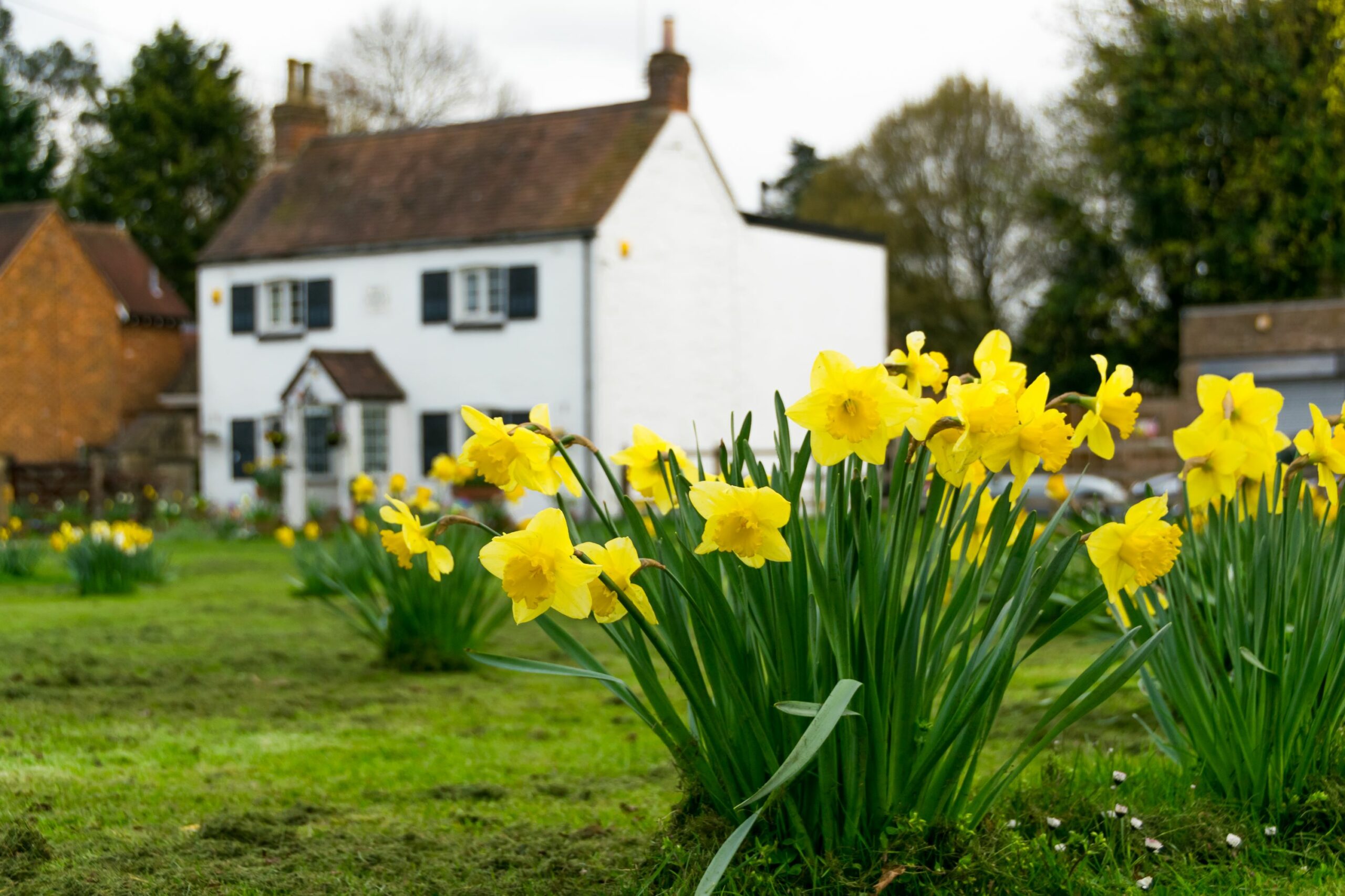 Price growth continues to reduce… - e.surv Chartered Surveyors
